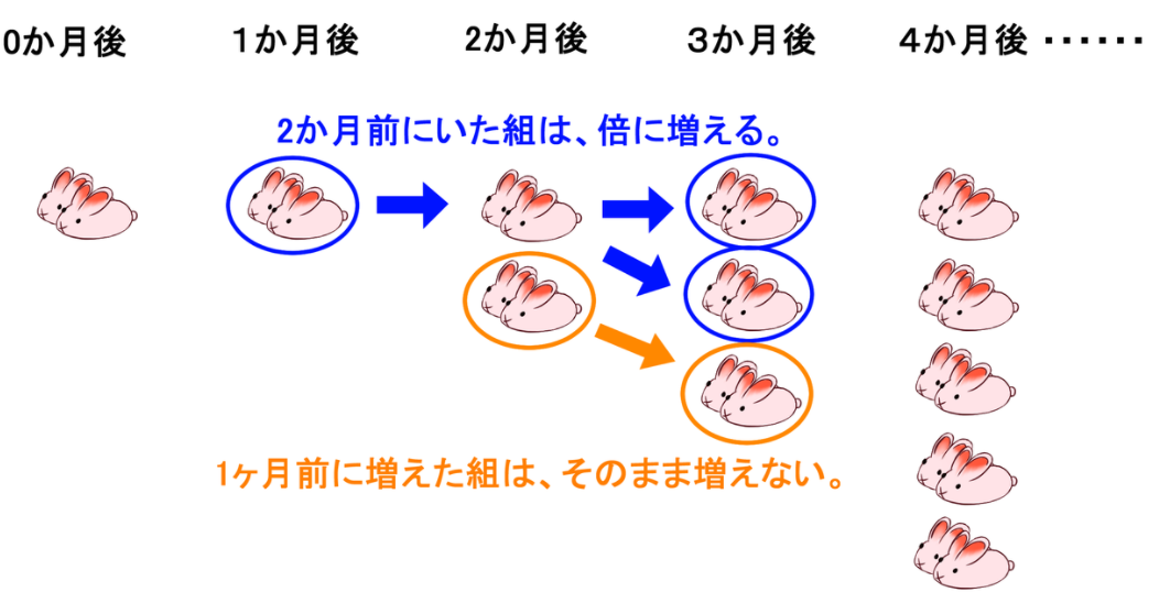 フィボナッチ数列と台風 自然界の神秘的な法則 シウマイ博士の放浪記
